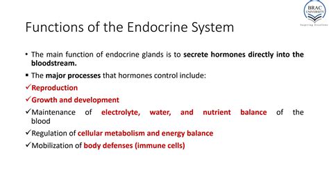 Solution Physiology Endocrine System Easy Class Lecture Standard For