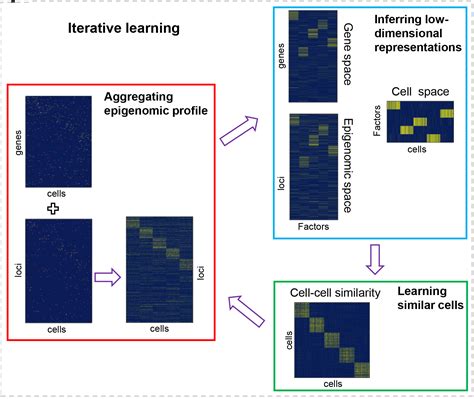 Homepage Of Dr Suoqin Jin Wuhan University Home