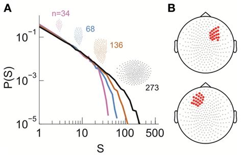 Power Law Size Distribution Of Neuronal Avalanches Recorded With Meg