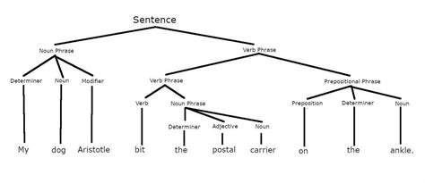 Exploring Examples Of Syntax Tree Diagrams