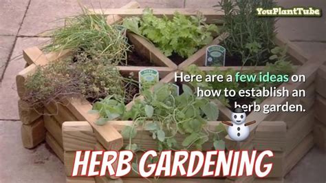 Establishing An Herb Garden Beginners Guide