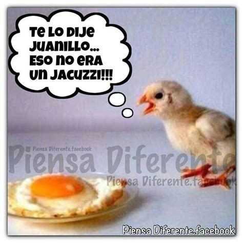 Imagen De Pollo Memes