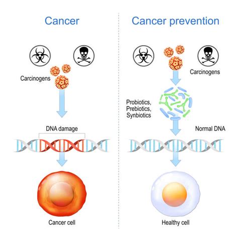 Carcinogen Examples