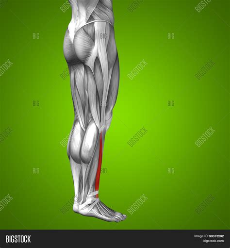 Concept Conceptual 3d Image And Photo Free Trial Bigstock