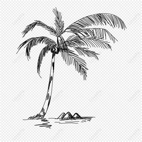 Detail Gambar Sketsa Pohon Kelapa Koleksi Nomer 16