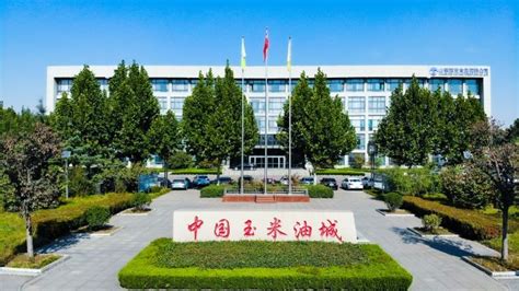 西王集团西王食品参加第三届中国国际文化旅游博览会财富号东方财富网
