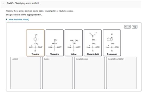 Solved Part C Classifying Amino Acids Iii Classify These