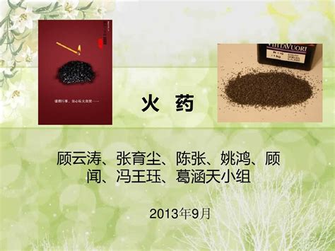 火药word文档在线阅读与下载无忧文档