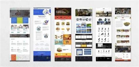 Phpjavascript Responsive Dynamic Web Designing Services With 247