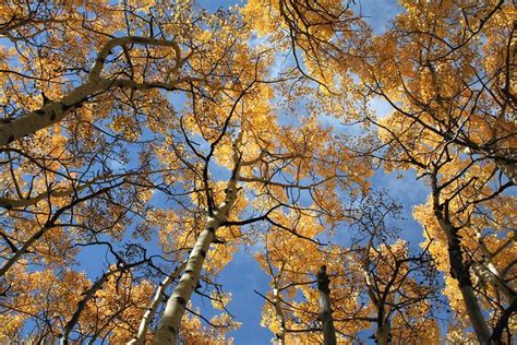 Use The Columntransformer For Numerical And Categorical Data In Python