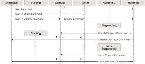Understanding Server Life Cycle