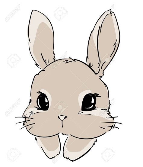 Кролик нарисованный карандашом 83 фото