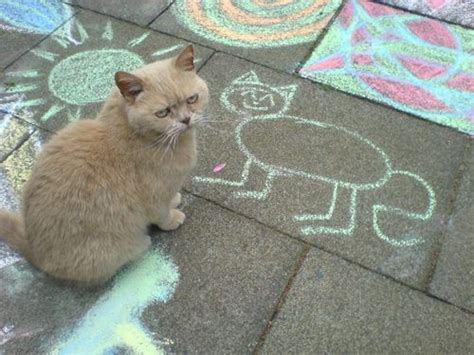 I Dont Look Like That Imgur