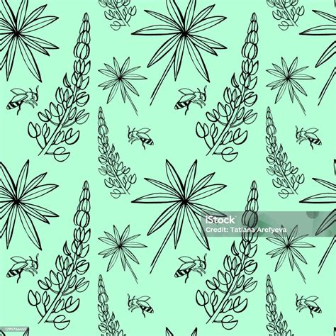 원활한 패턴 손으로 스케치 야생화 루피누스 잎 꽃 식물의 일부 꿀벌 텍스트 배경 루핀에 대한 스톡 벡터 아트 및 기타 이미지 루핀 고풍스런 원예 Istock