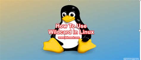 Using Wildcard In Linux Globbing In Linux Module 40