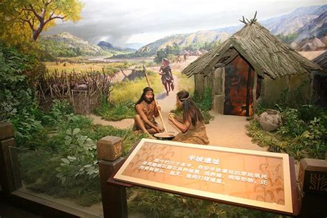 丰收节 中华农耕文明展播文明演进之原始农业 遗址