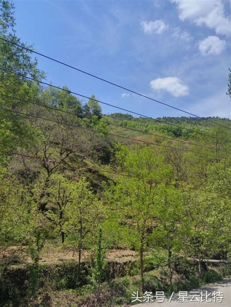 藍天白雲綠色青山你們那裏有嗎 每日頭條
