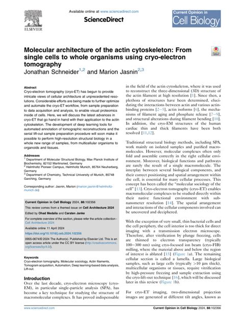 Molecular Architecture Of The Actin Cytoskeleton From Pdf Actin Cell Biology
