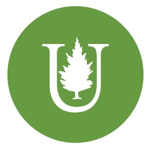How To Become A GIS Analyst Unity Environmental University