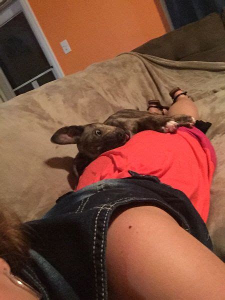 I Love Your Butt Imgur