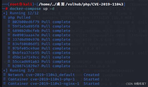 Php Fpm 远程代码执行漏洞（cve 2019 11043）复现fpms报修管理系统漏洞复现 Csdn博客