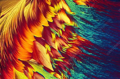 Adenosine Triphosphate Stock Image G465 0068 Science Photo Library