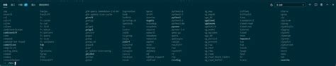 Integrated Terminal Display Bug After Create New Terminal · Issue