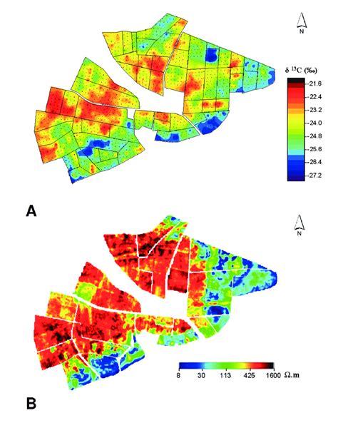 Spatial Representation Of Vine Water Status Assessed By δ 13 C