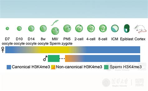 头条新闻 清华大学