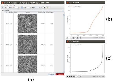 Cryo EM And Single Particle Analysis With Scipion