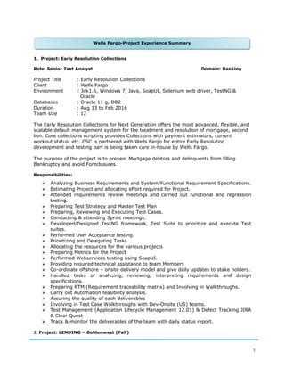 Senior Test Analyst PDF