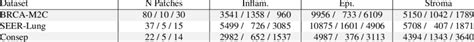 Datasets Statistics For Each Dataset We Report Number Of