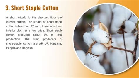 Cotton Production In India Pdf Agriculture Industries