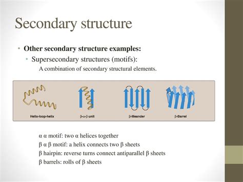 protein structure foundation block dr sumbul fatma ppt download