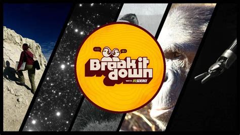 Meet The Trilobite Beetles Prehistoric Looking Insects With Peculiar