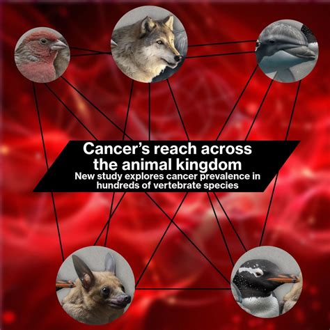 Asu Biodesign Institute On Linkedin Cancer Asu Asubiodesign