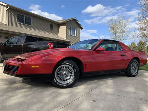My New 1982 Ta Scrolller