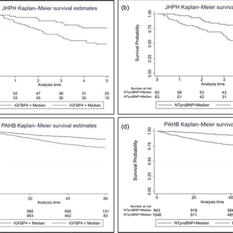 Kaplan Meier Survival Model Adjusted For Age Sex And Nyha Functional Download Scientific