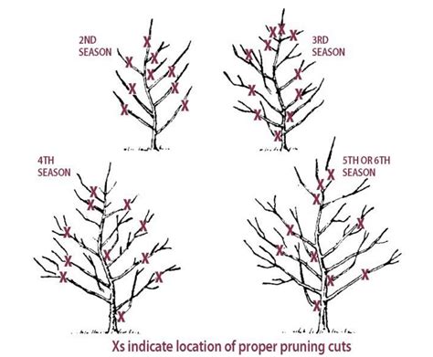 10 weeks of ml — inductive learning decision trees and linear