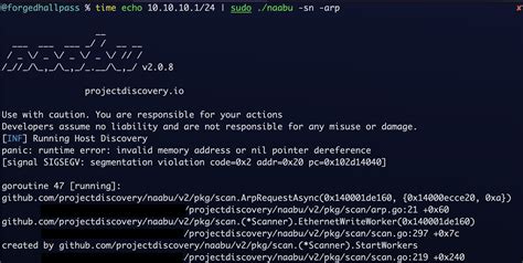 Panic When Using Certain Host Discovery Flags Issue