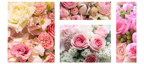 Naomi Nash Profiel Bongacams