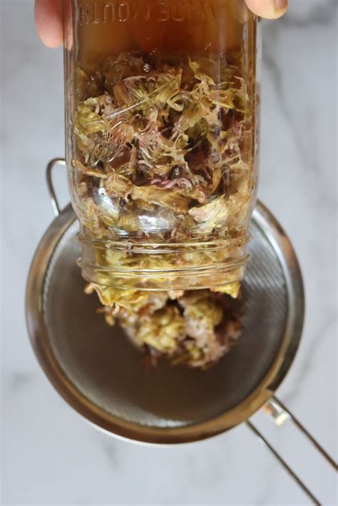 Bee Balm Oxymel — Practical Self Reliance