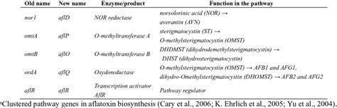 Aflatoxin Biosynthetic Genes And Functionsᵃ Download Table