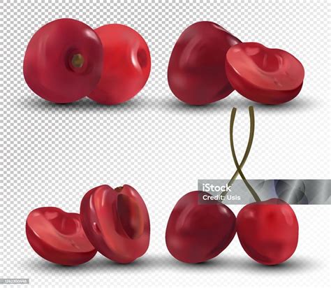투명 한 배경에 신선한 체리 빨간 체리를 설정합니다 자연 제품 3d 사실적인 열매 벡터 일러스트레이션 3차원 형태에 대한 스톡 벡터 아트 및 기타 이미지 Istock