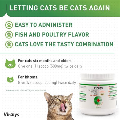 Vetoquinol Viralys Powder Immune Supplement For Cats 35 Oz