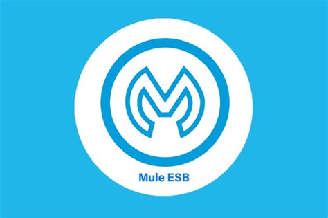 Mule Esb Online Training And Mule Technology Certification
