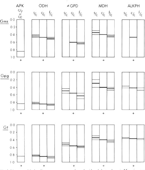 Figure 2 From Genetic Polymorphism In Three Species Of Tsetse Flies