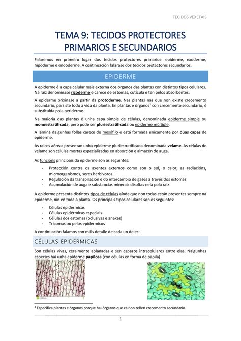 Tema 9 Tema Warning Tt Undefined Function 32 Warning Tt Undefined Function 32 Tema 9