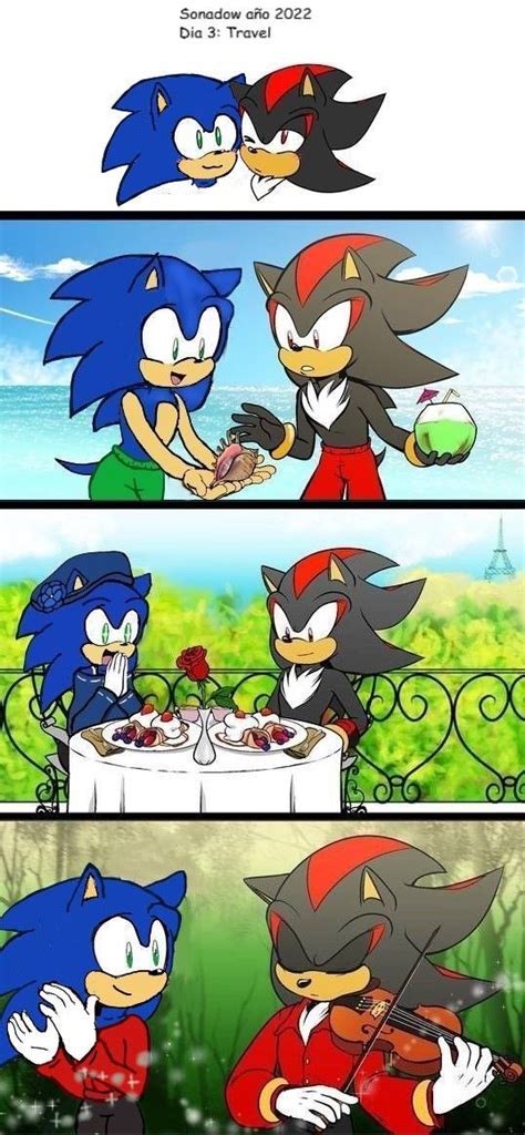 Pin En Sonic X Shadow