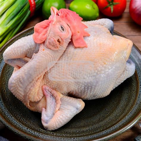 古早母雞 雞媽媽chicken Mommom